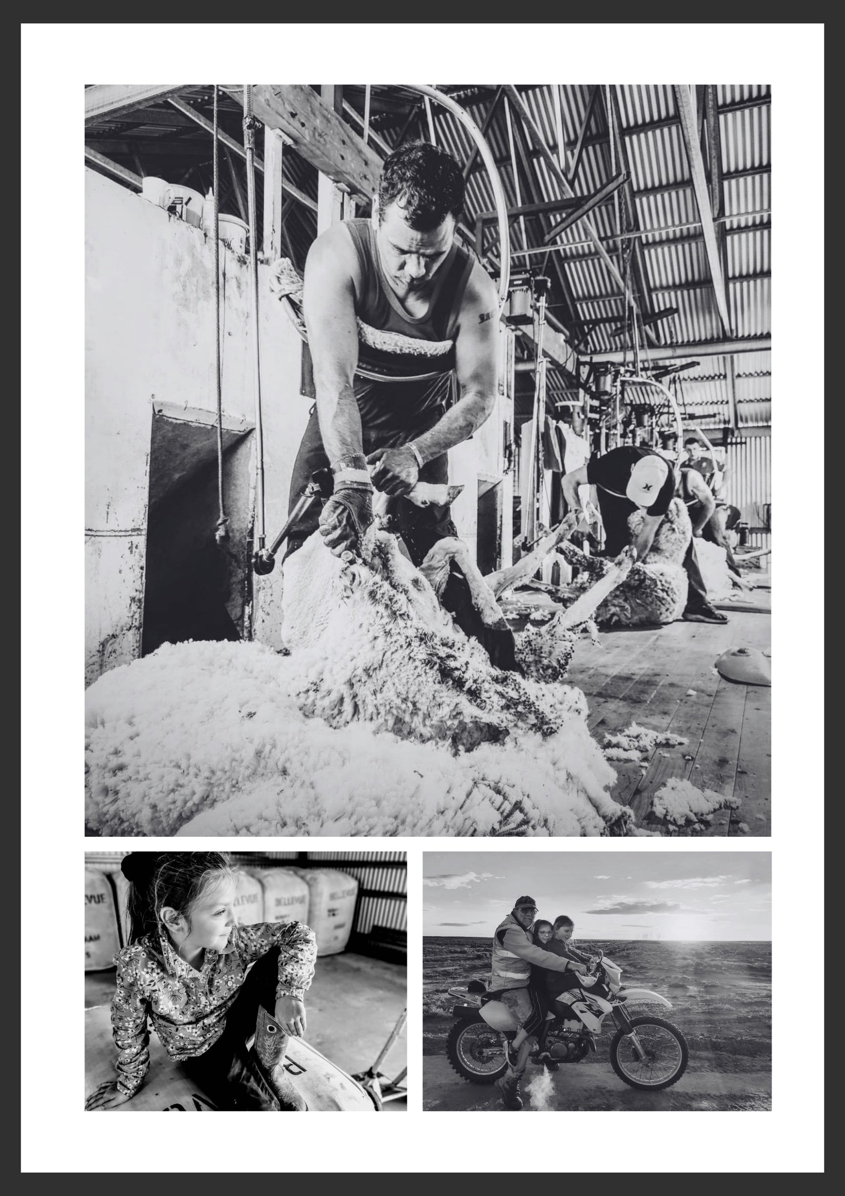 Shear Delights Cookbook A4 | Australian Rural Recipes — Just Shear