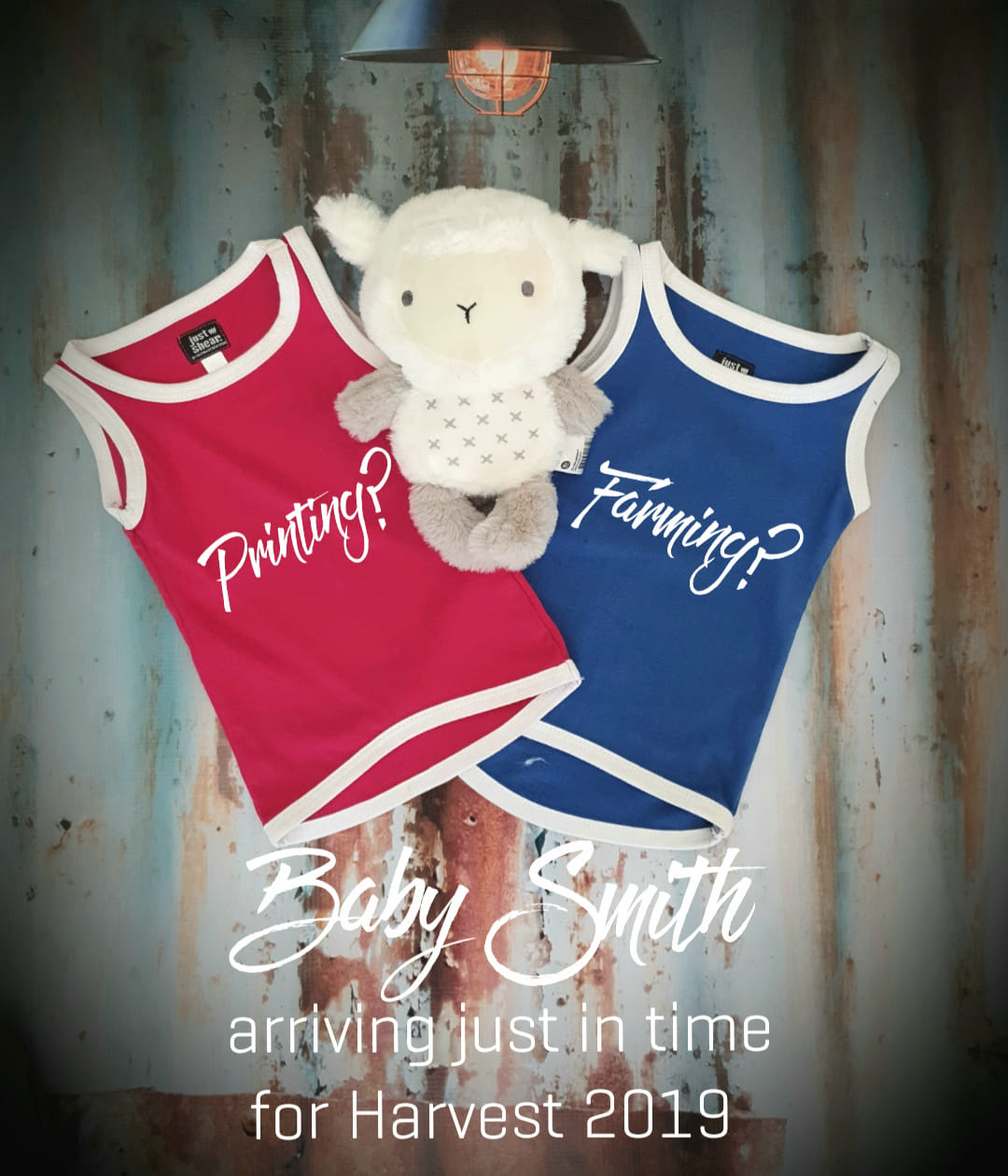 Premium Quality Shearing Singlets Australia | Plain & Coloured Singlets ...