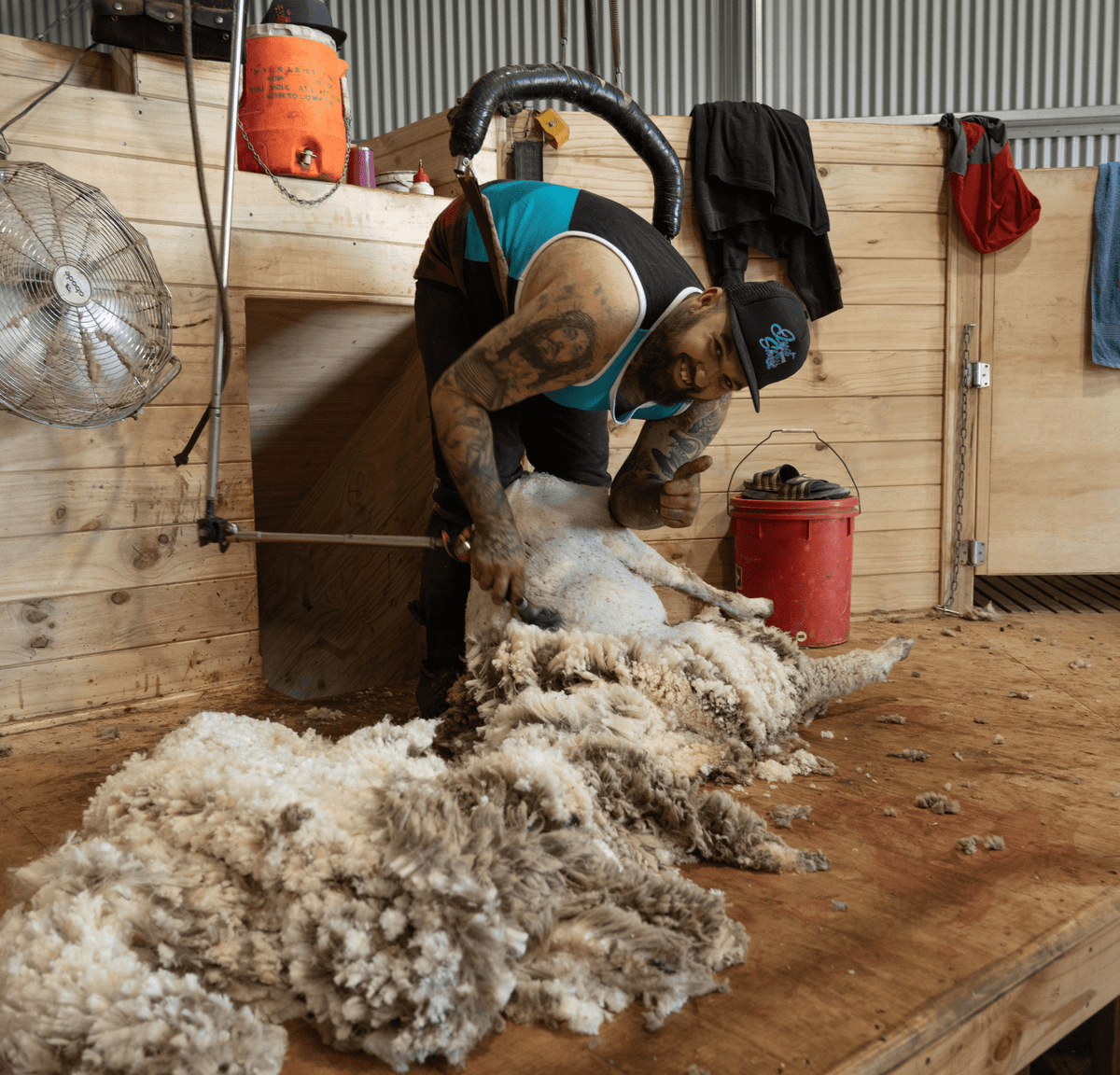 Teal & Black Diagonal | Shearing Singlet